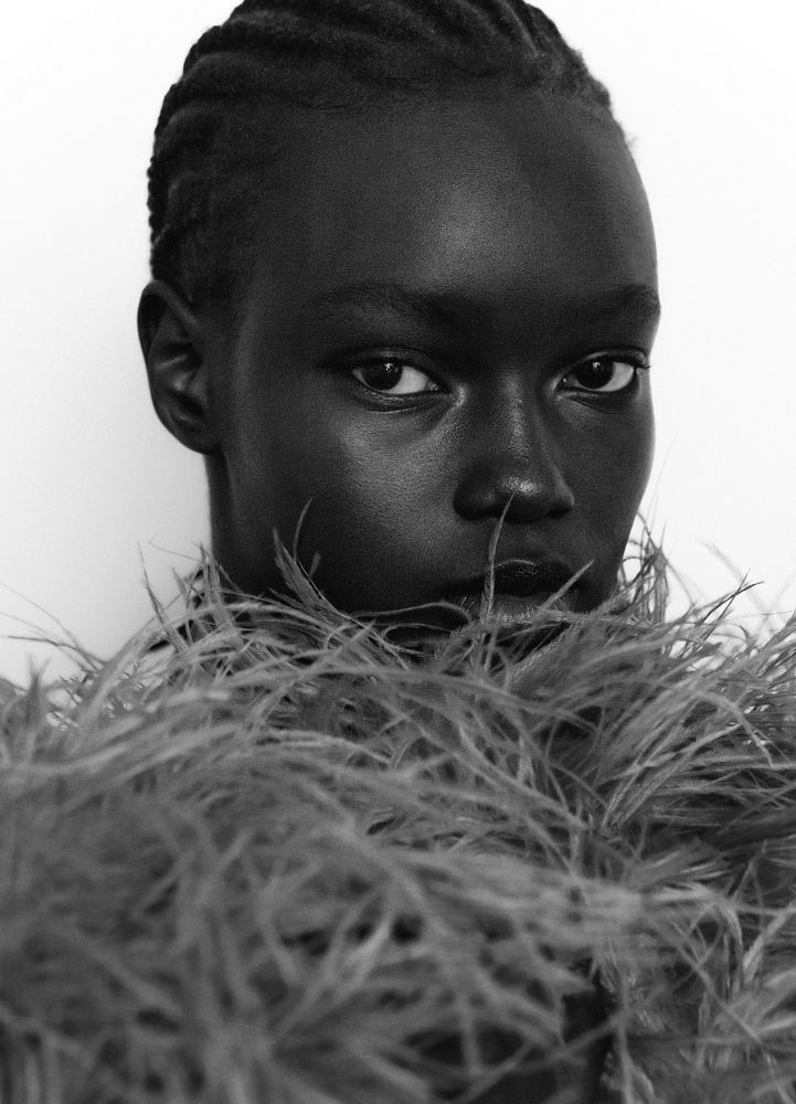 Francina Models - DEVELOPMENT